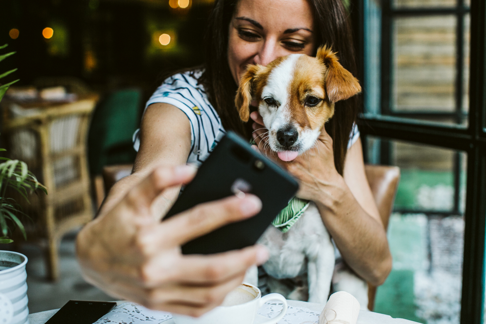 10 websites useful for pet owners